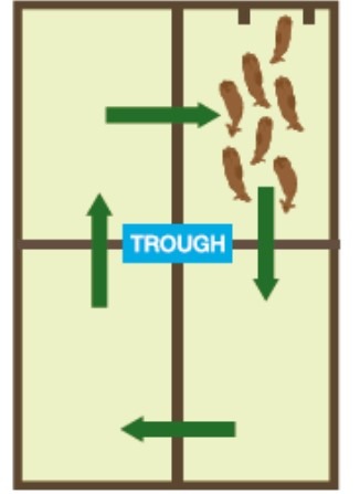Grazing Management Advice & Support - Pasturetec