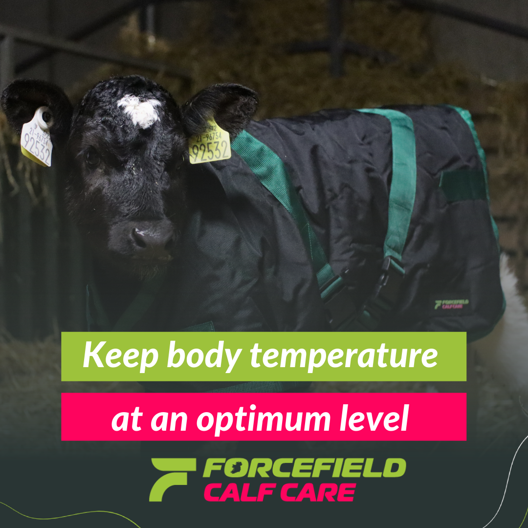 Forcefield Calf Coats - Pasturetec